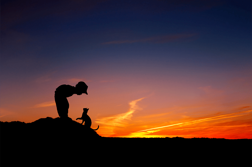 After Care Resources - A Peaceful Ending At Home